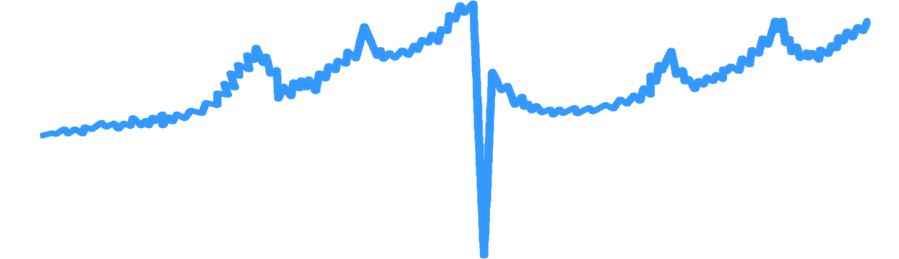PEMF Pulsed Electro Magnetic Fields - Swiss Bionic Solutions